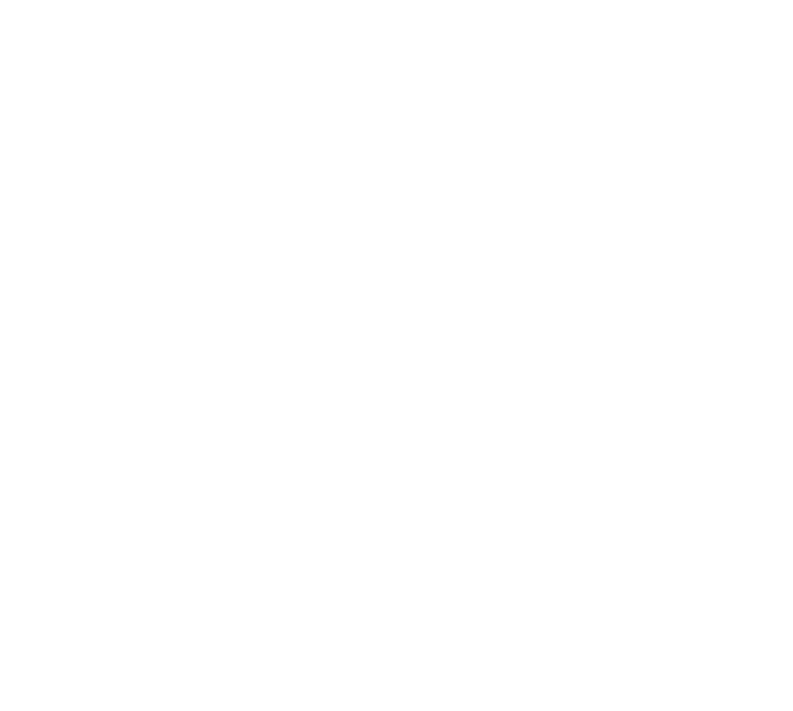 LECTUS 렉터스